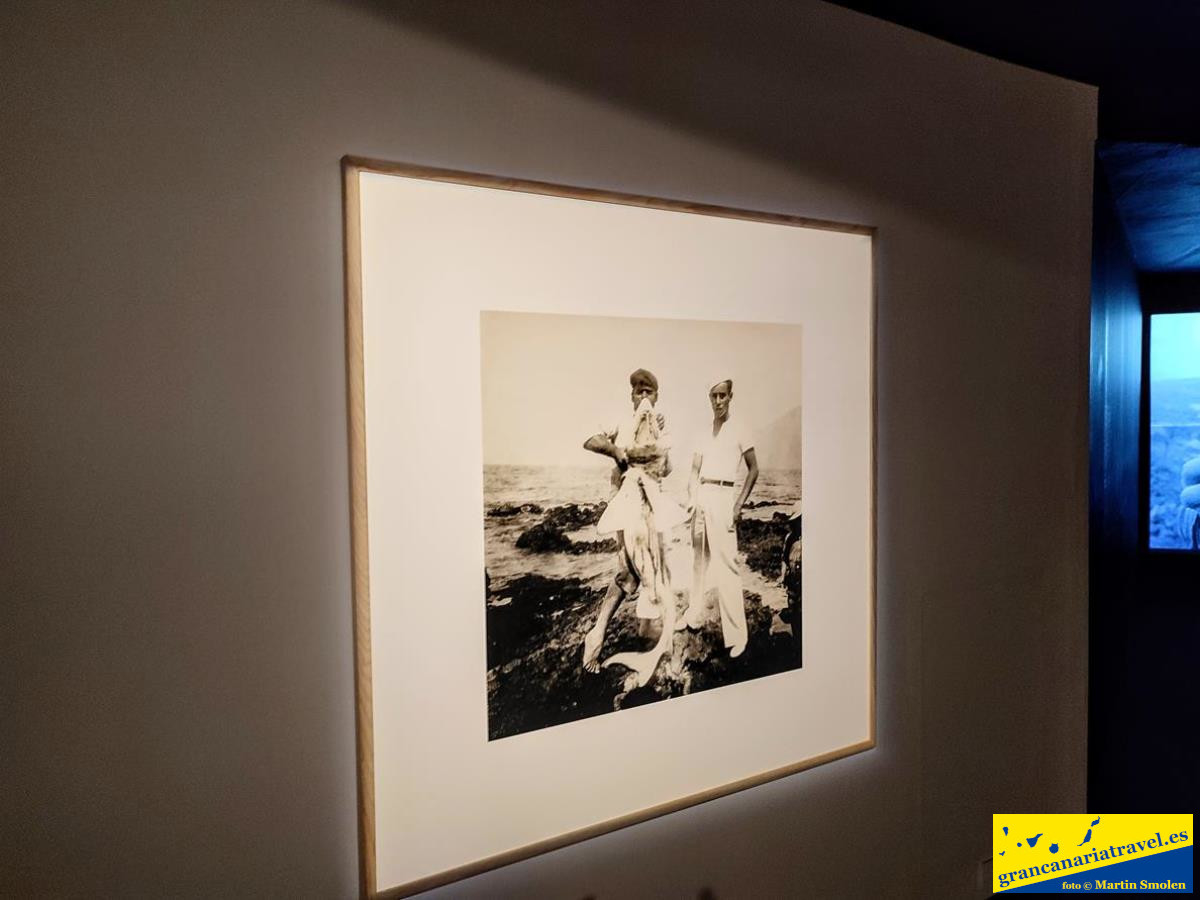 César Manrique House and Foundation - Canaria Guide